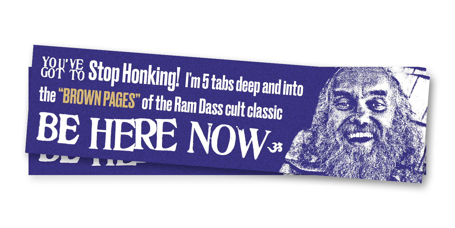 Ram Dass Memes Ram Dass, Love Serve Remember ...baby It's All